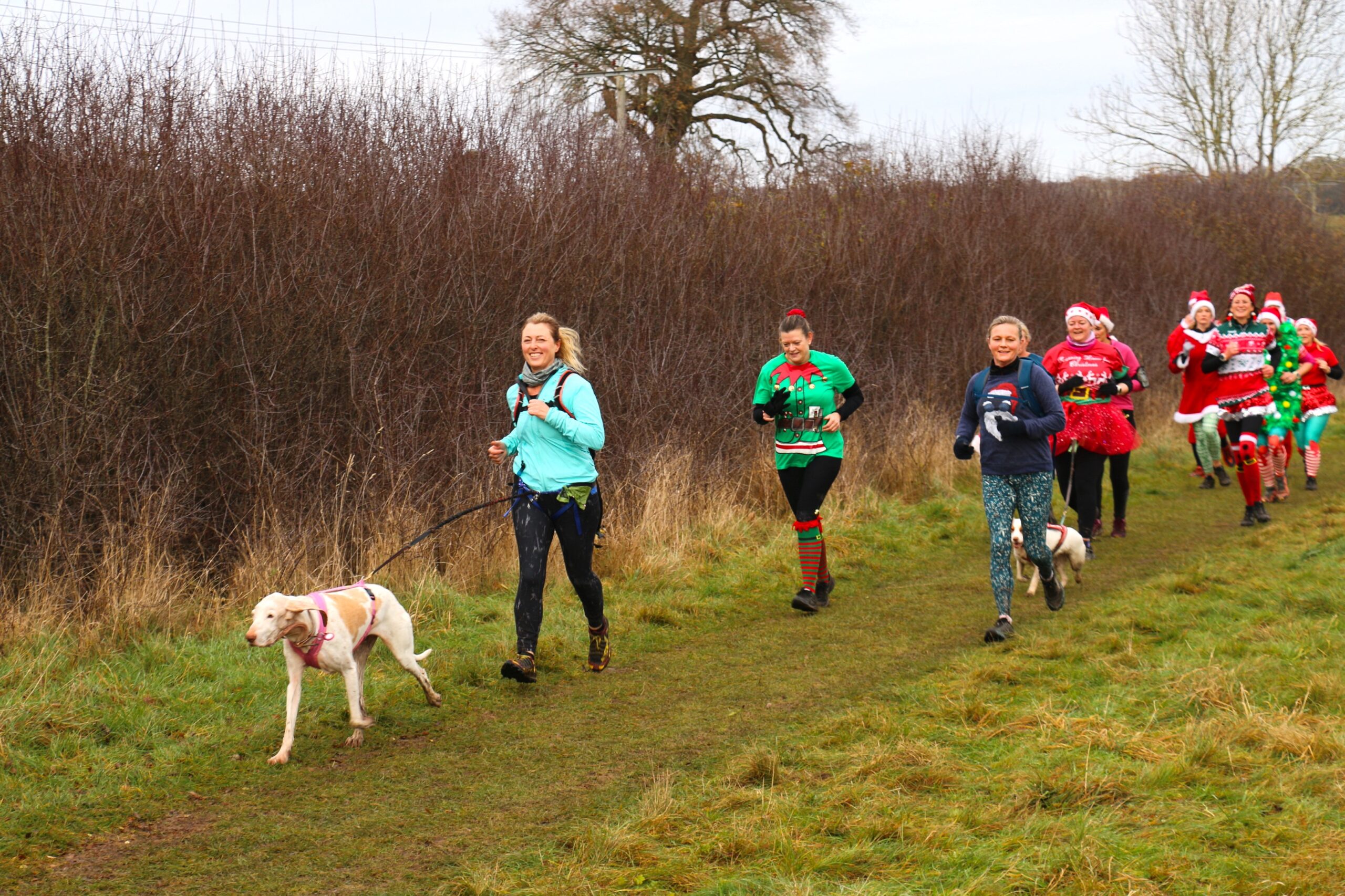 Wild Christmas Run - Dec 2021 - Run The Wild