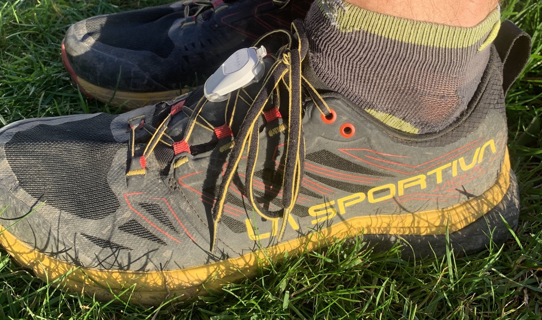 COROS POD 2 - Run The Wild