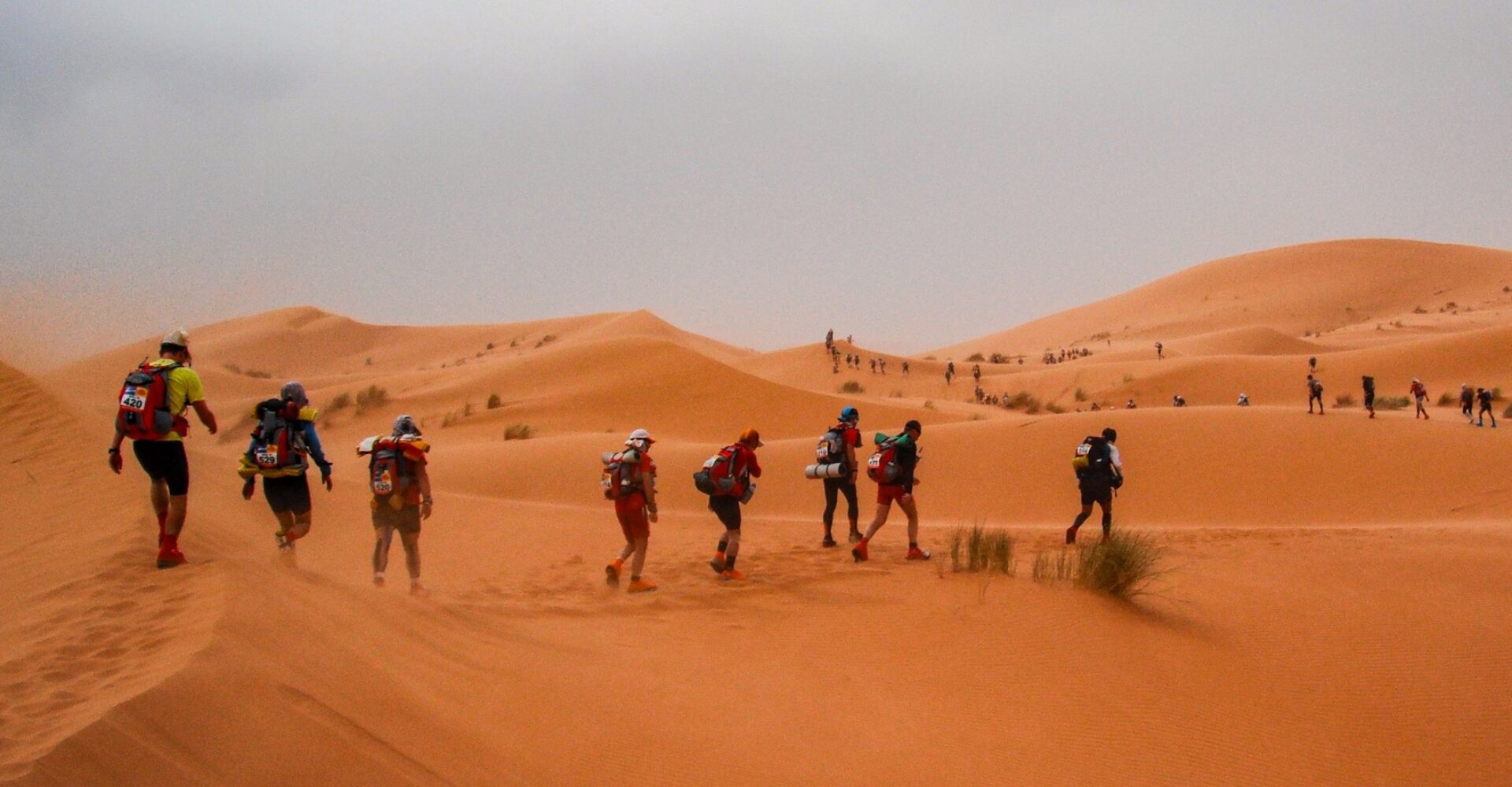 Your guide to ultra running - Run The Wild