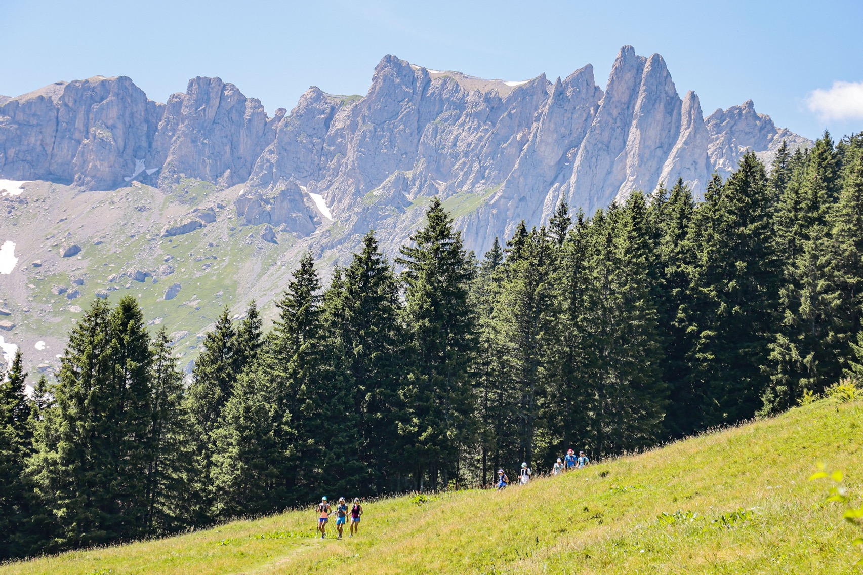 Alpine Trail Running 2024 - Run The Wild